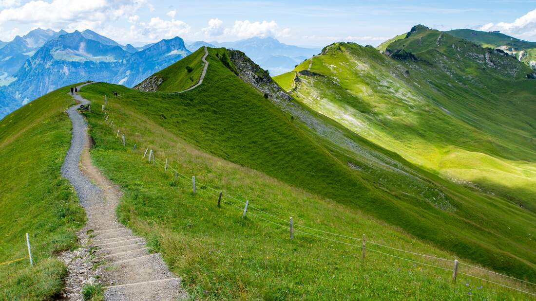 Stoos-Trail Ingenbohl-Brunnen | RUNNER'S WORLD